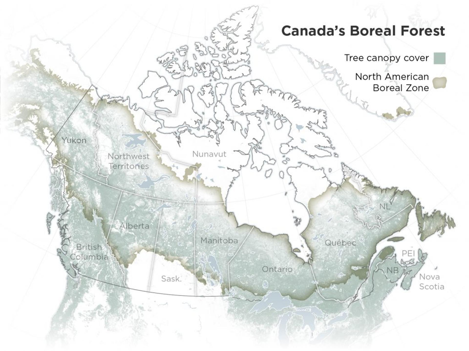 Planet’s Data Fuels Canadian Boreal Forest Research As Planet E&R ...