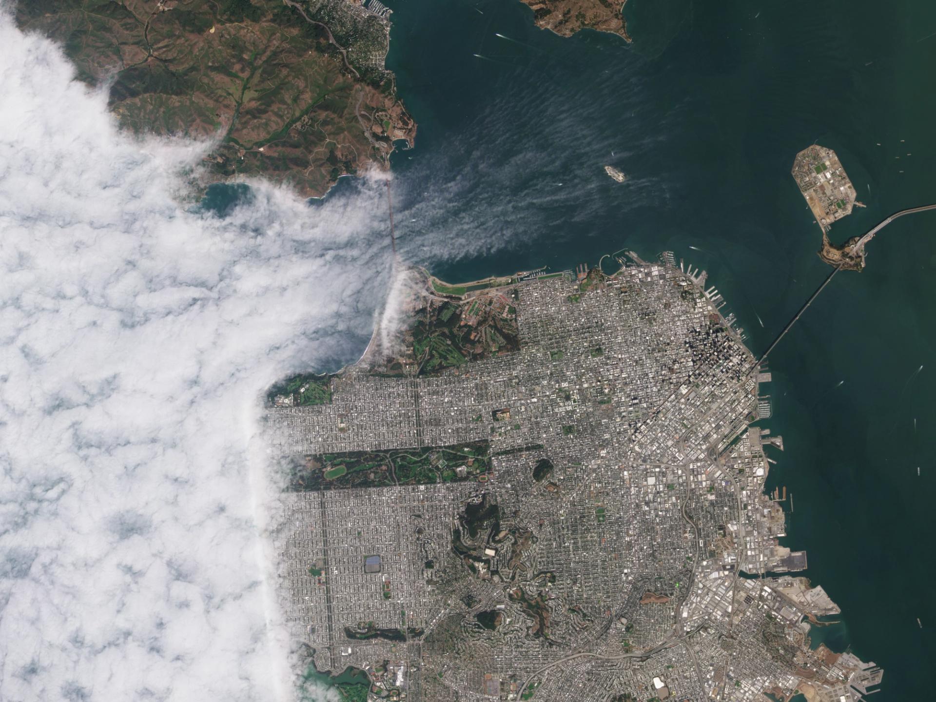 Guiding Planet's Next Chapter: Strategic Additions to Our Board