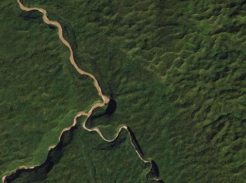 Tropical Forest Observatory: High-resolution satellite monitoring for ...