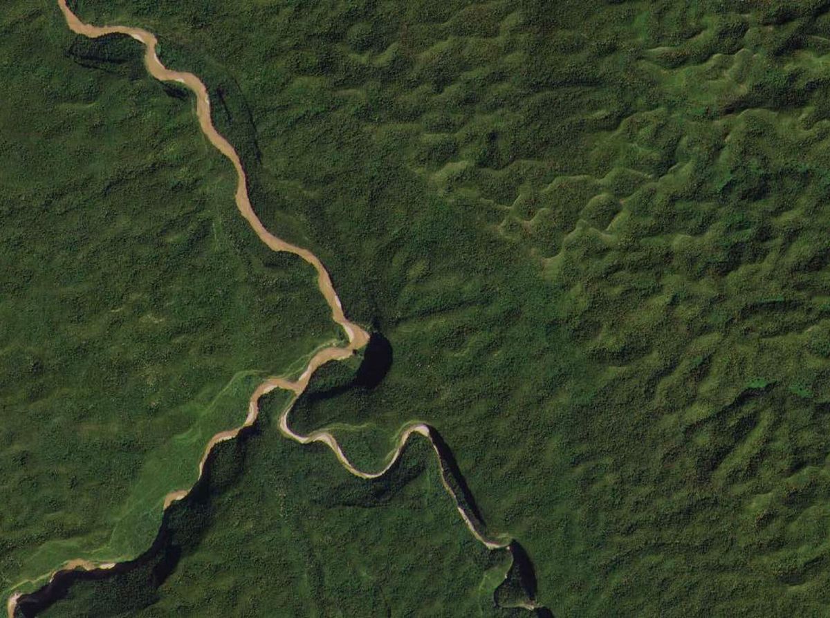 Tropical Forest Observatory: High-resolution satellite monitoring for ...