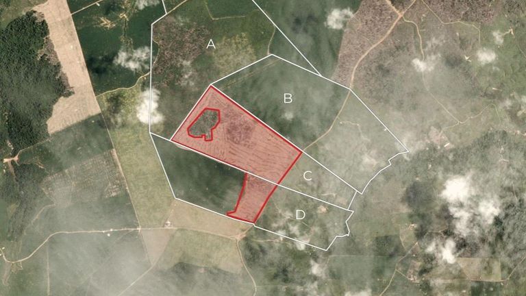 EUDR Compliance | Planet