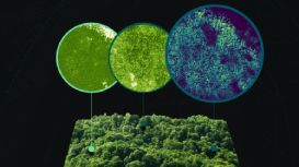 Planet Labs: Satellite Imagery & Earth Data Analytics