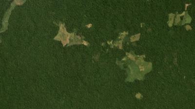 Forest Satellite Images for Sustainable Land Use from Planet | Planet