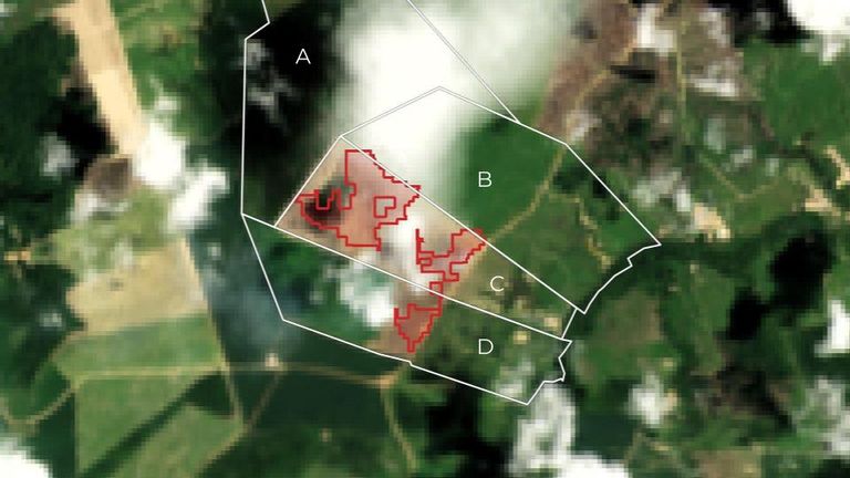 EUDR Compliance | Planet