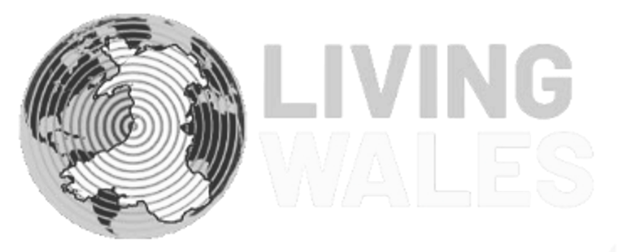 Mapping and GIS Imagery with Planet | Planet