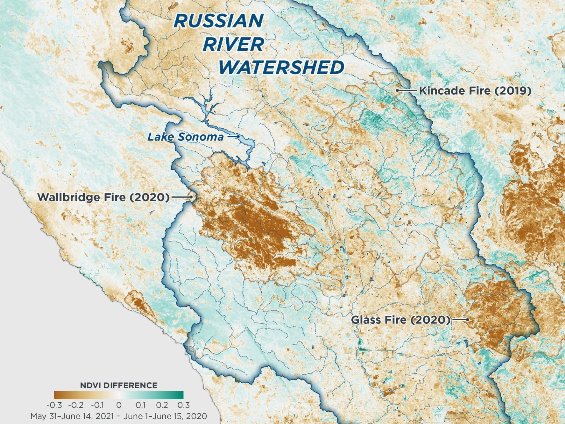 Damage Assessment Data and Natural Disaster Risk Modeling with ...