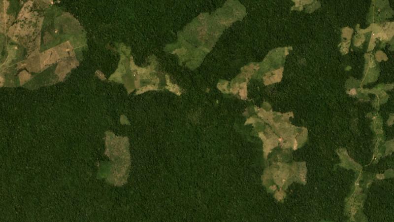 Forest Satellite Images for Sustainable Land Use from Planet | Planet