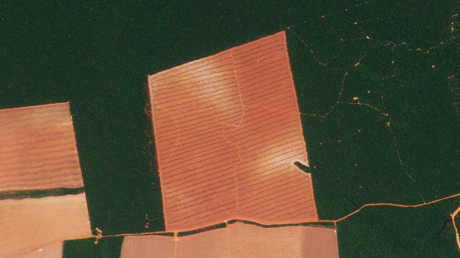 EUDR Compliance | Planet