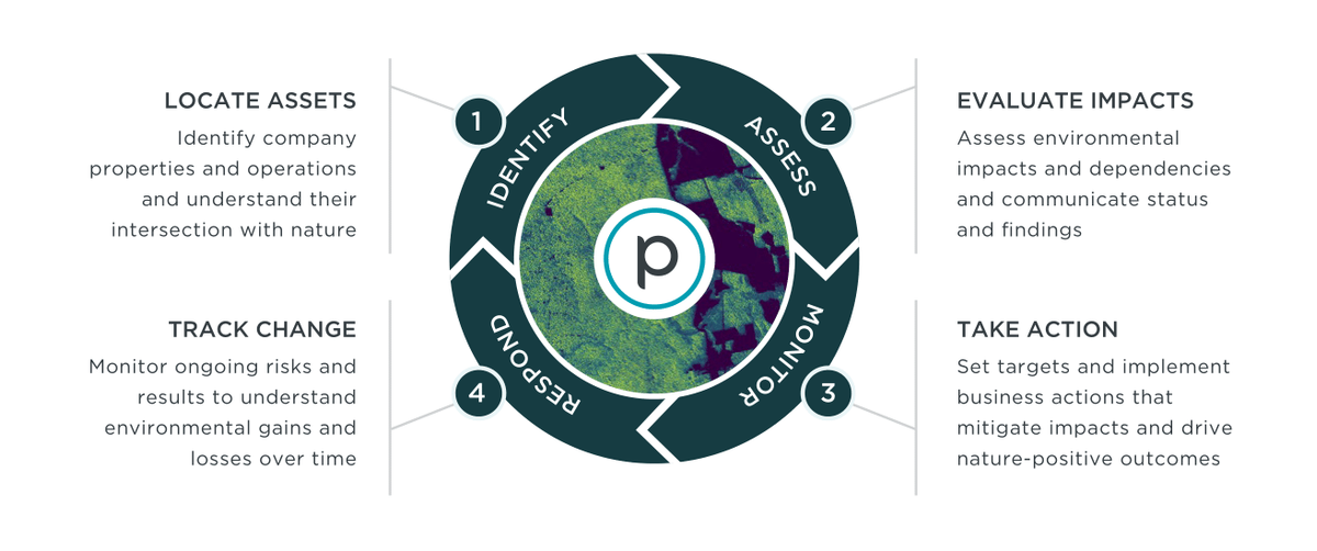 Sustainability | Planet