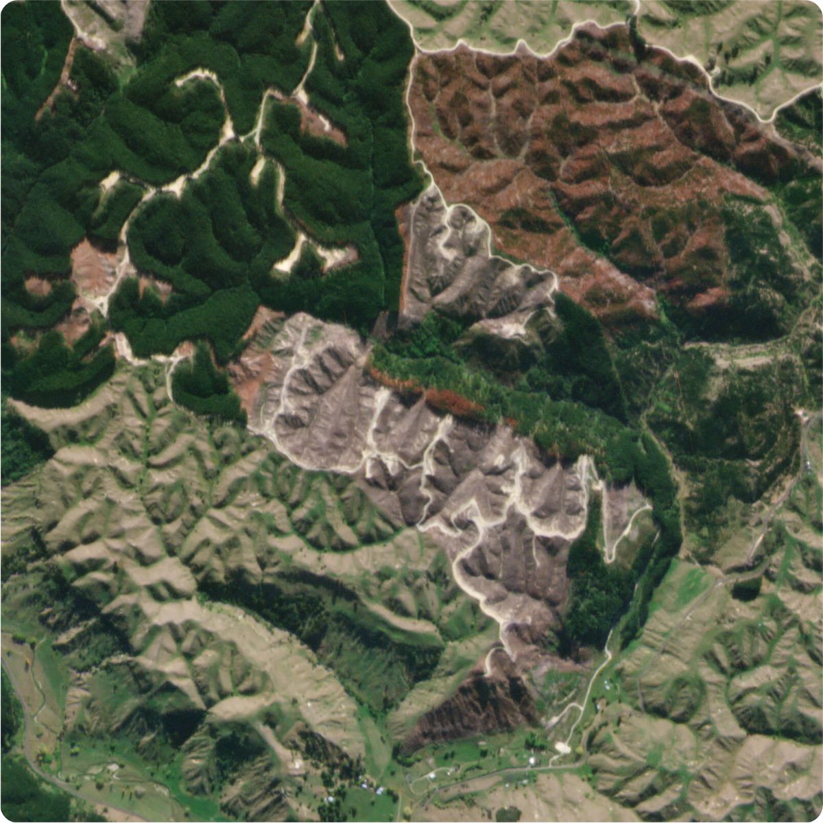 Forest Satellite Images for Sustainable Land Use from Planet | Planet