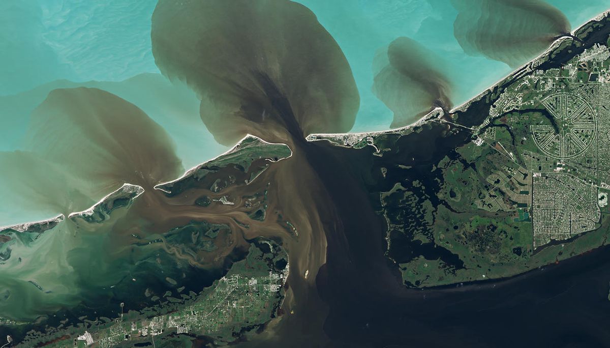 Natural Resourece Monitoring and Management | Planet