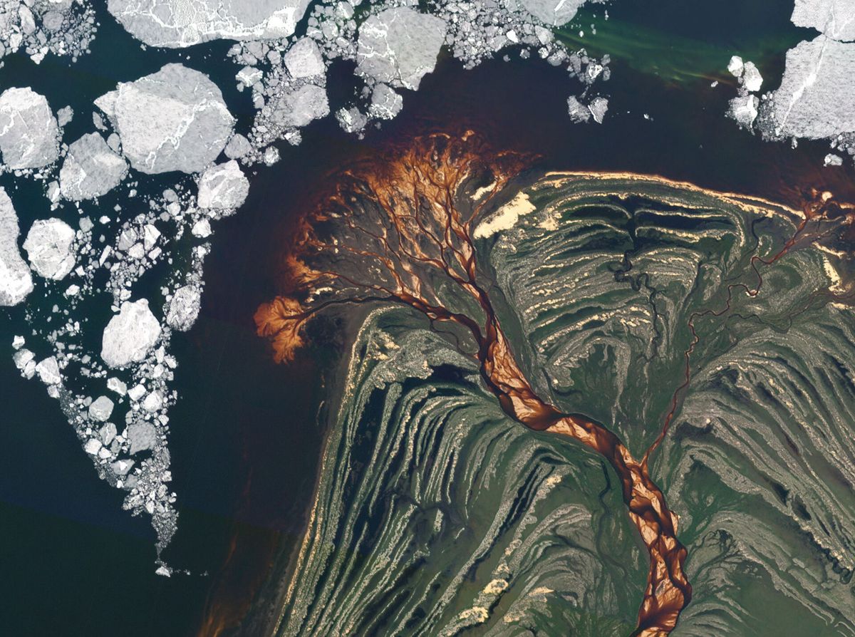 Planet Science Programs: Satellite Imagery Access for Researchers | Planet