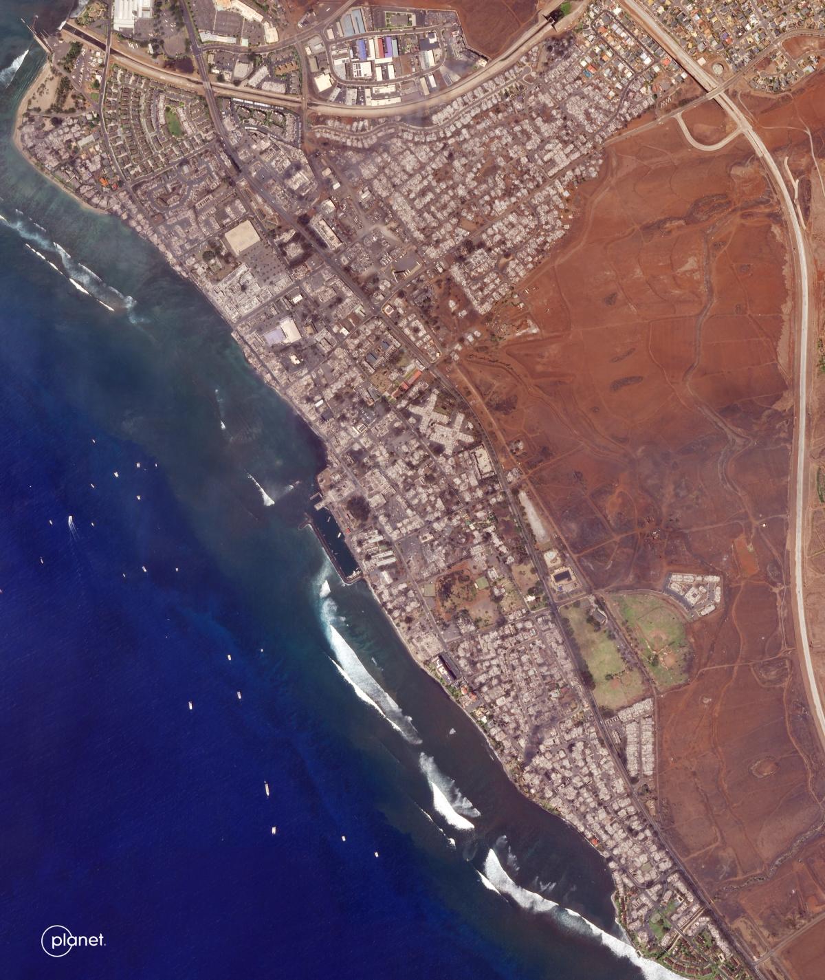 Damage Assessment Data and Natural Disaster Risk Modeling with ...