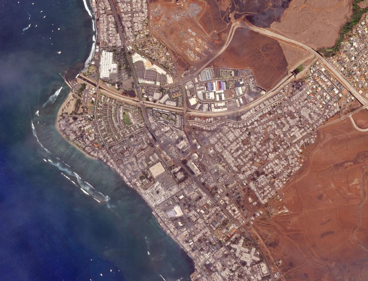 Damage Assessment Data and Natural Disaster Risk Modeling with ...