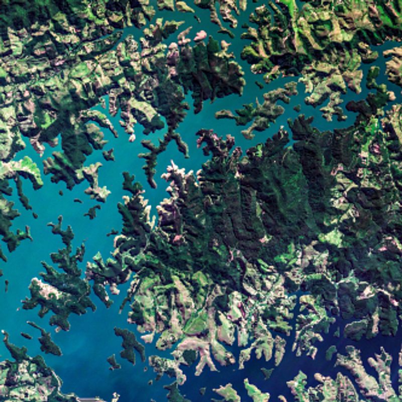 Project Centinela | Planet