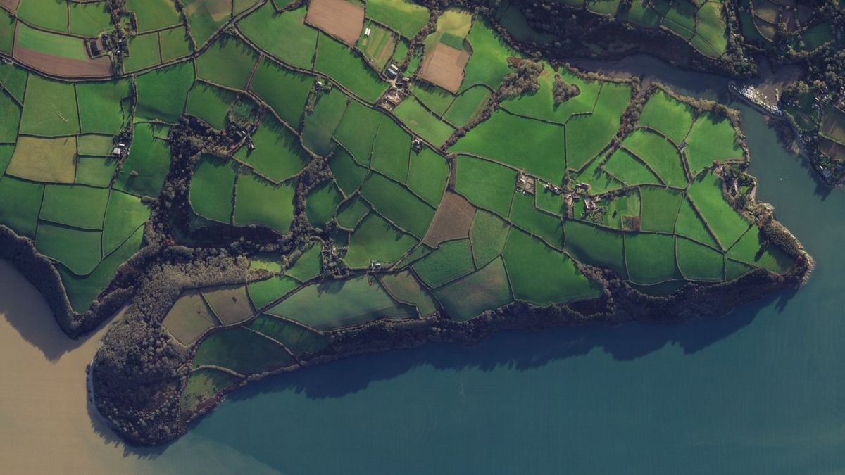 Broad Area Management for Government Agencies | Planet