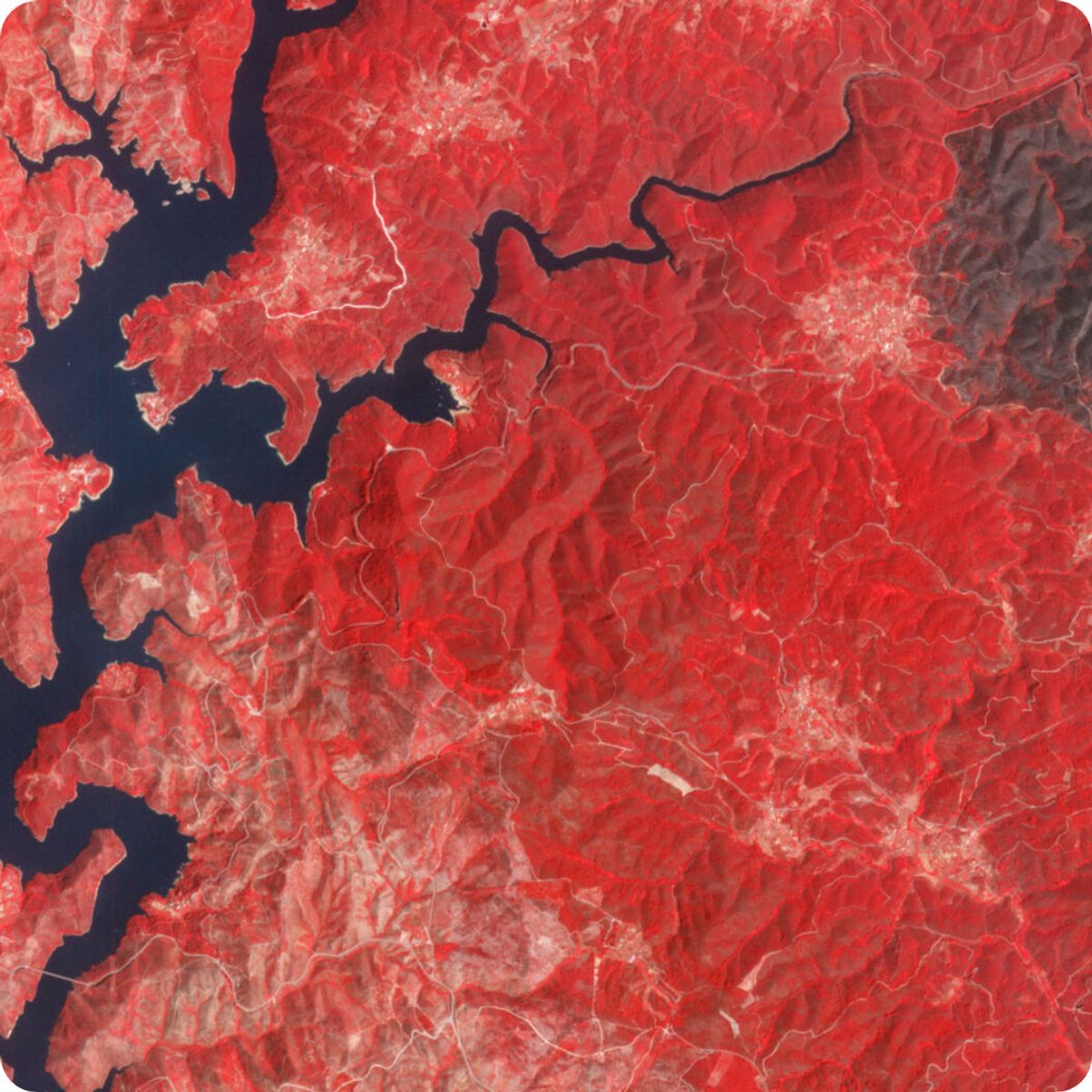 Satellite Imagery Analytics | Planet