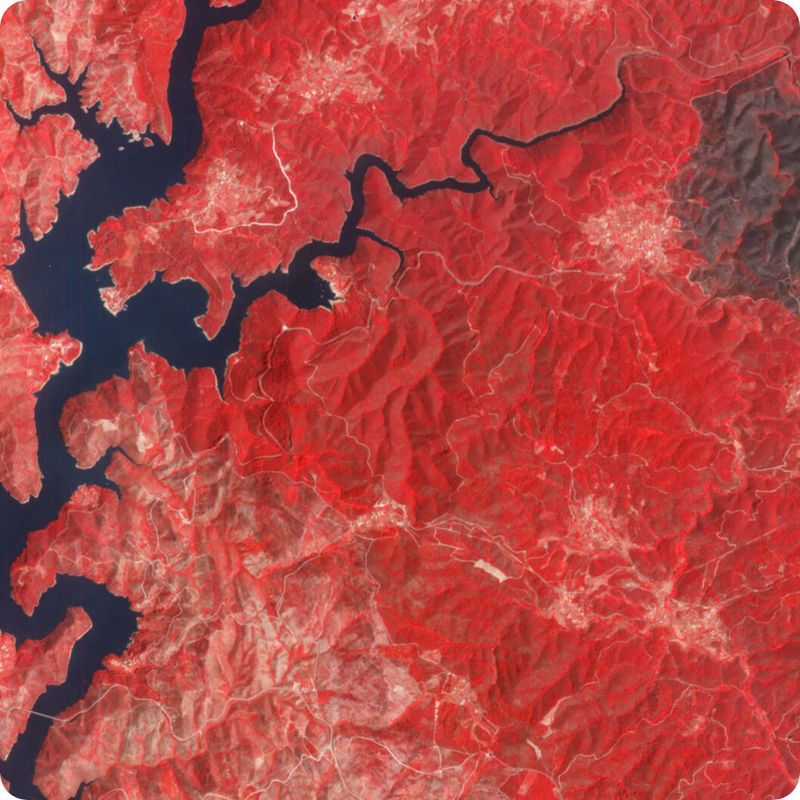 Planet Monitoring - Satellite Imagery and Monitoring | Planet
