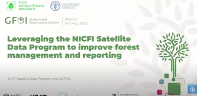 Tropical Forest Observatory: High-resolution satellite monitoring for ...