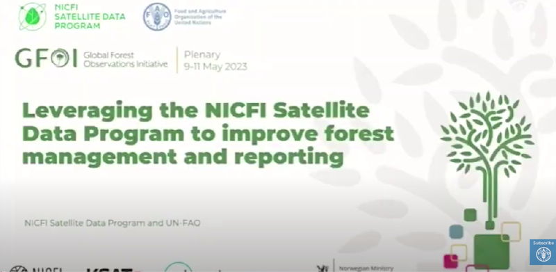 Tropical Forest Observatory: High-resolution satellite monitoring for ...