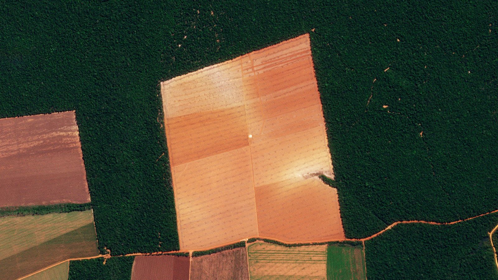 EUDR Compliance | Planet