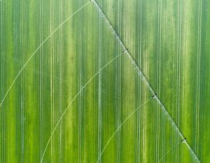 Precision Agriculture Imaging with Planet Satellite Solutions | Planet