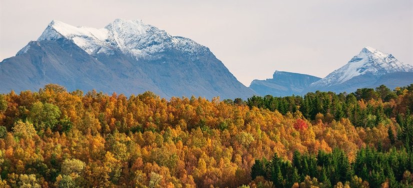 Strengthening Europe’s knowledge on nature and sustainability