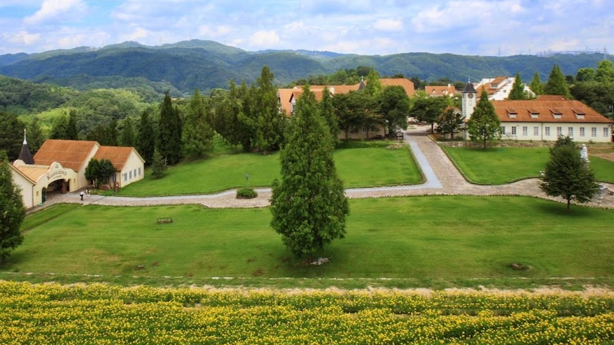 Okayama Forest Park 'German Forest' | Hey Japan!