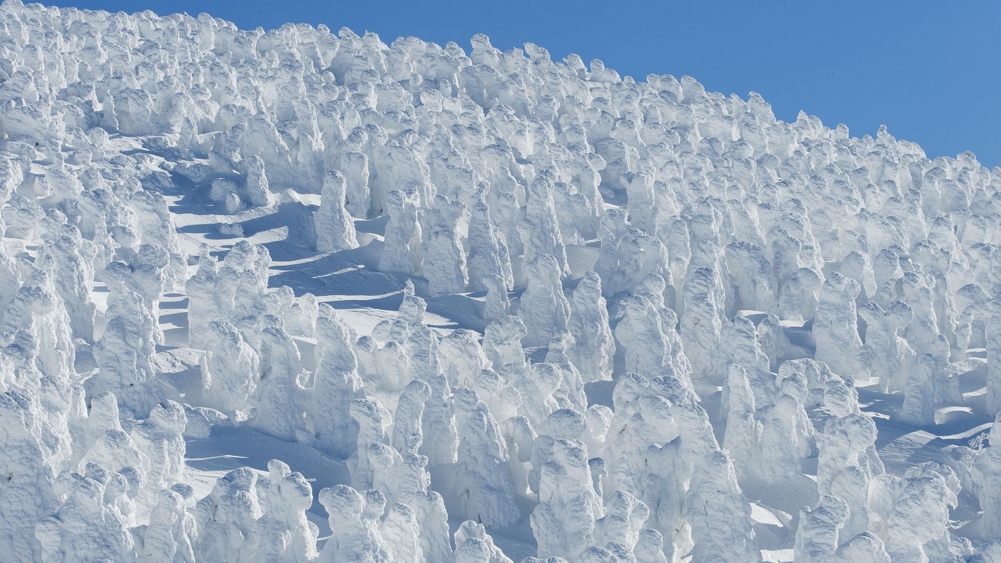Zao Juhyo Festival | Hey Japan!