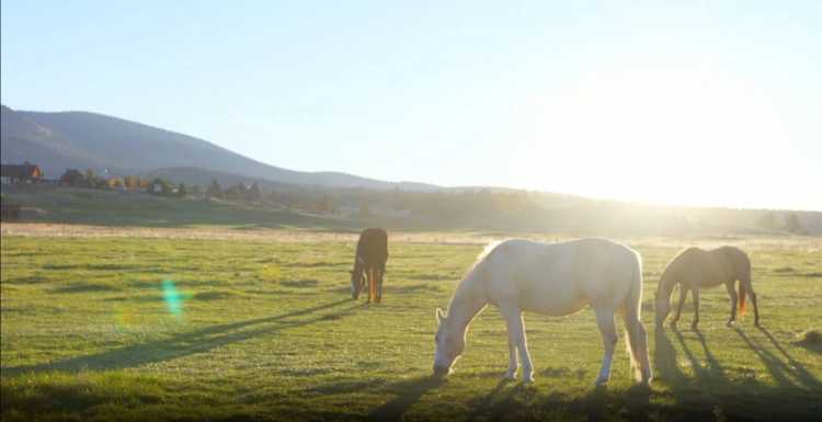 Brasada Ranch | Bend Oregon Resort