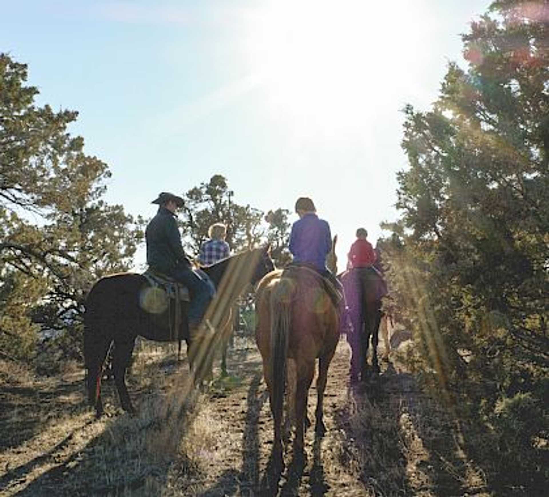 Bend Oregon Equestrian Club | Brasada Ranch