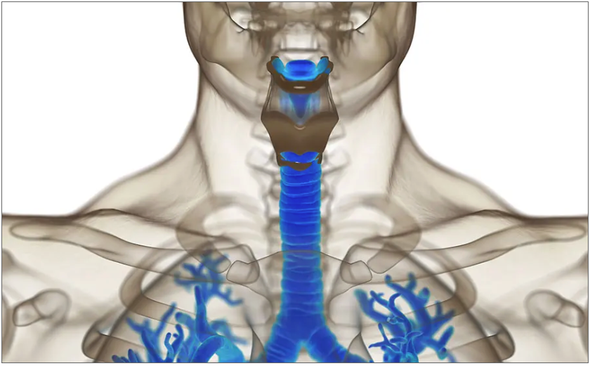 Designing Self-Powered Breath Sensors to Track Chronic Respiratory ...