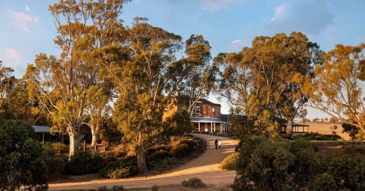 Early Bird at Kingsford The Barossa | Worlds Apart
