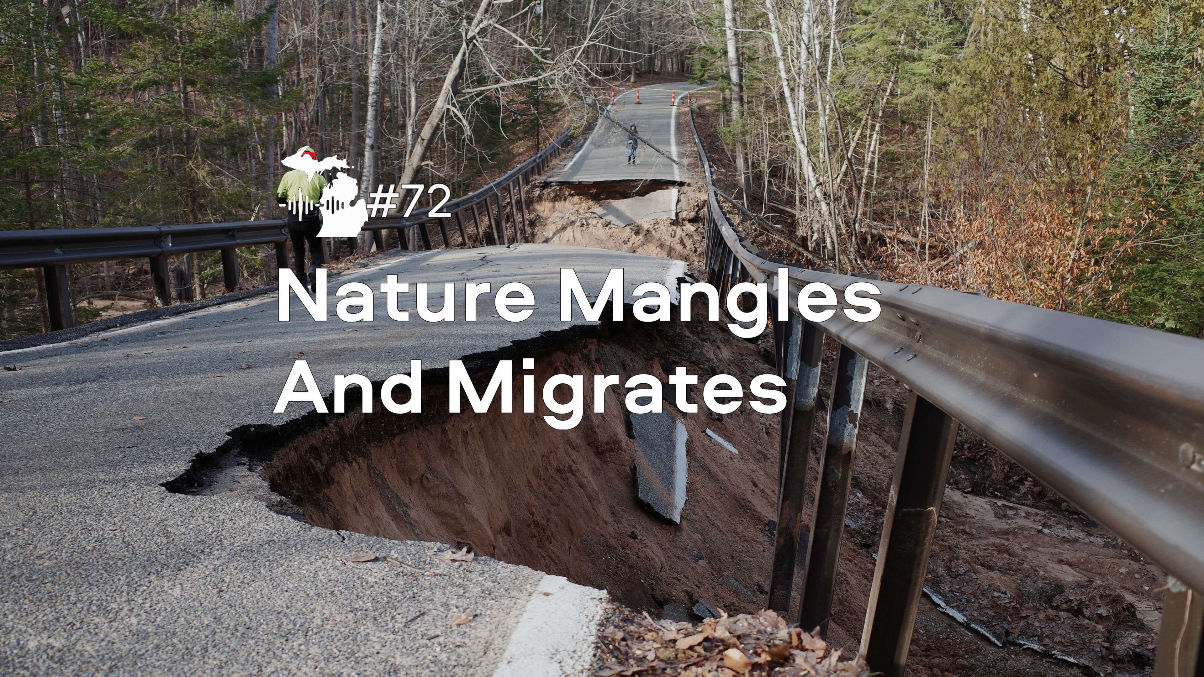 Nature Mangles and Migrates | Michigan Enjoyer