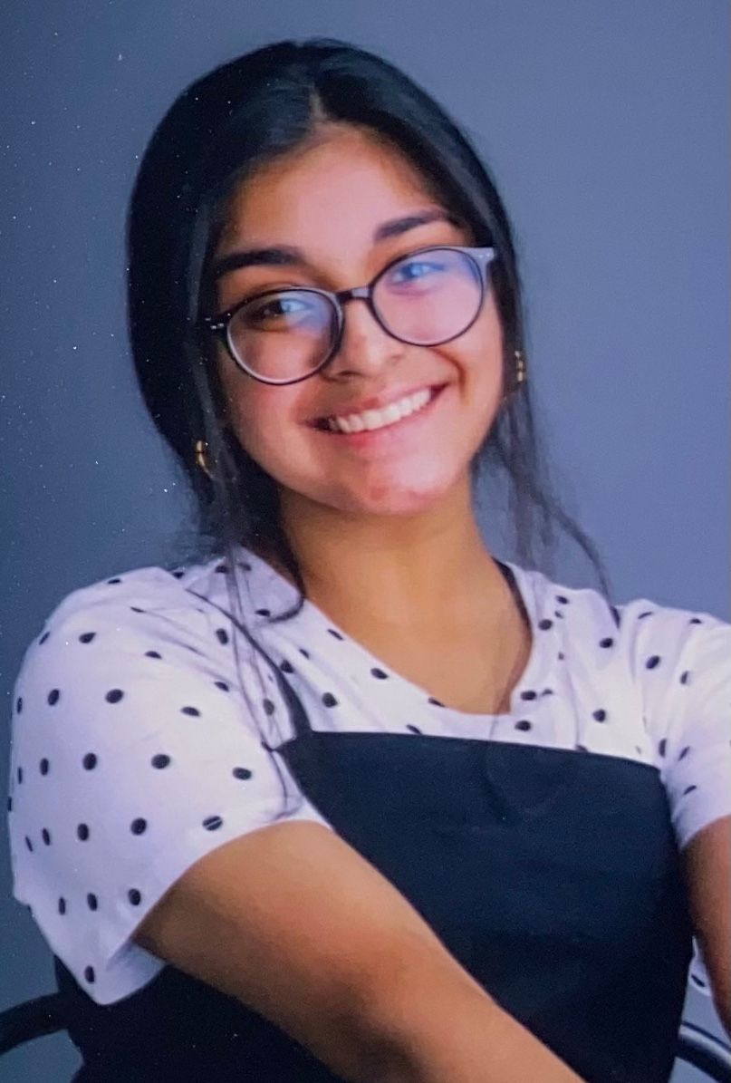 Who We Are – Rhizome