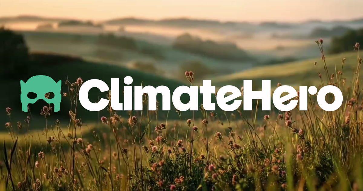 How Carbon Offsetting Works, Step by Step | ClimateHero