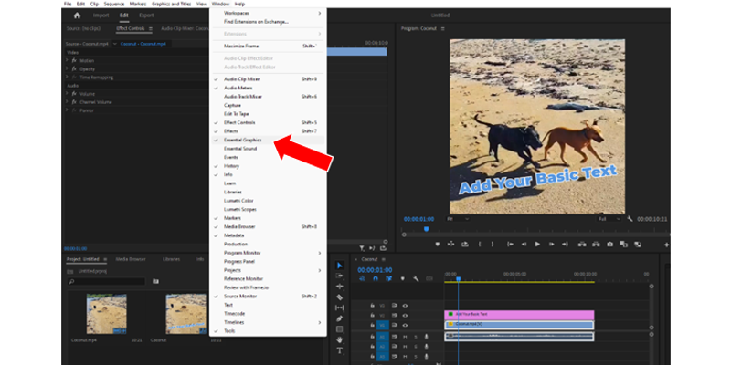 Content Creator Templates