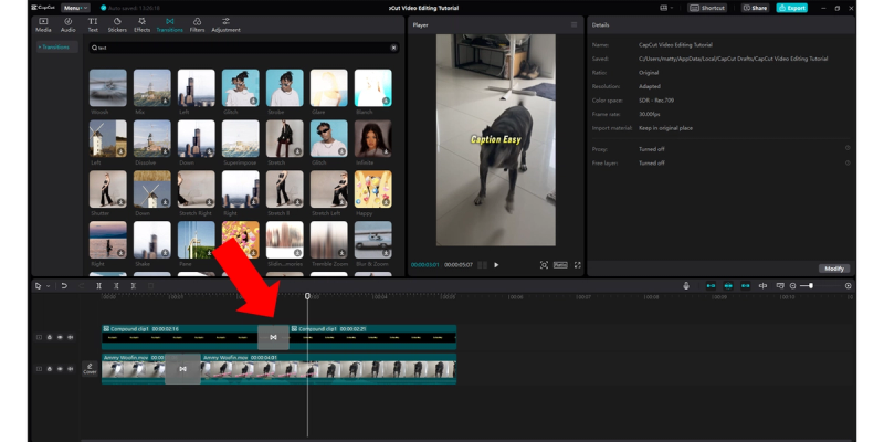 Content Creator Templates