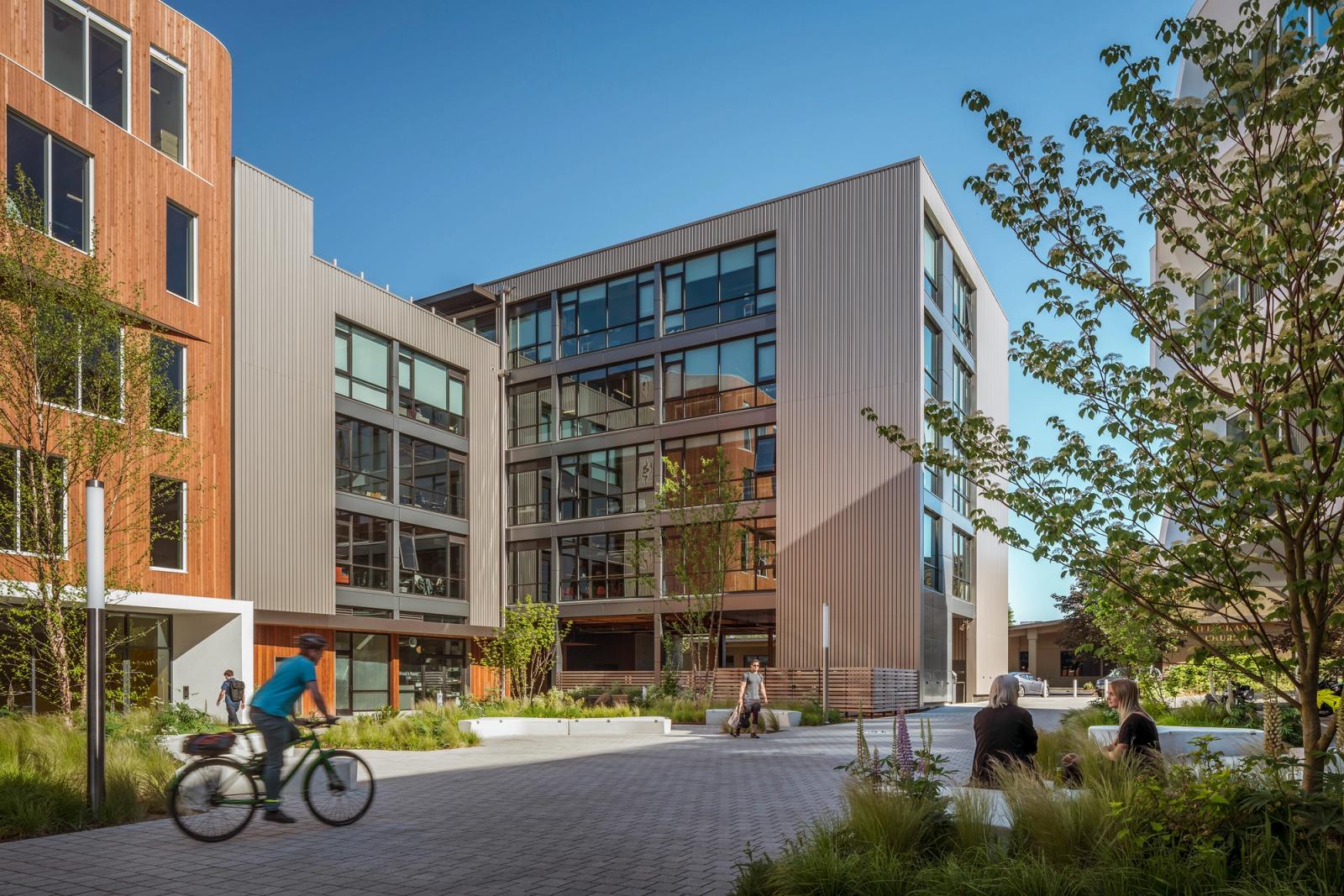 The First Mass-Timber Building of its Scale Built in a Century | LSW ...