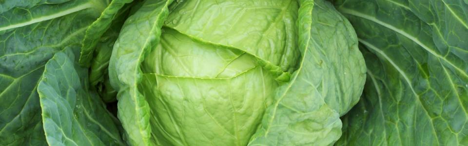 Our History | About Us | Manor Fresh