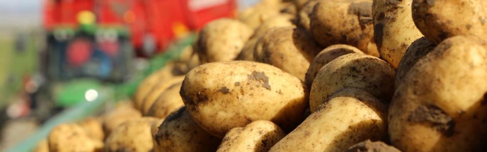 About Us | Manor Fresh