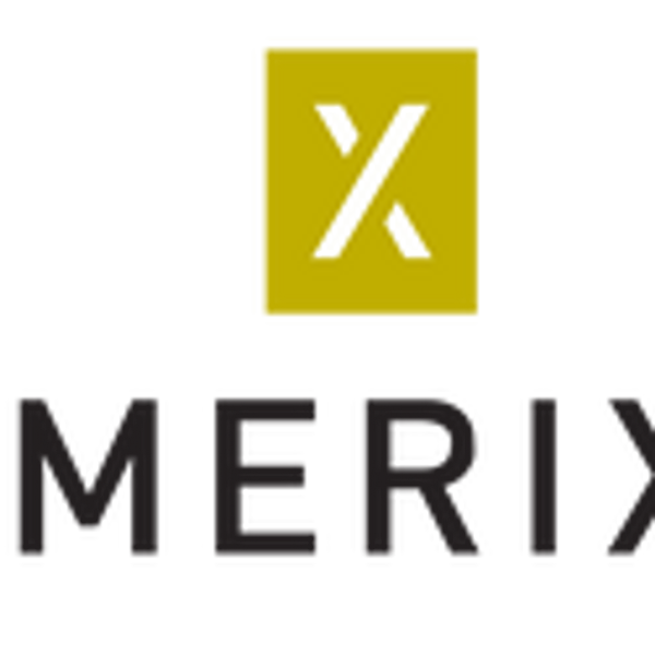 MERIX/Lendwise Financial - Underwriting Tips | Pineapple Financial Inc.