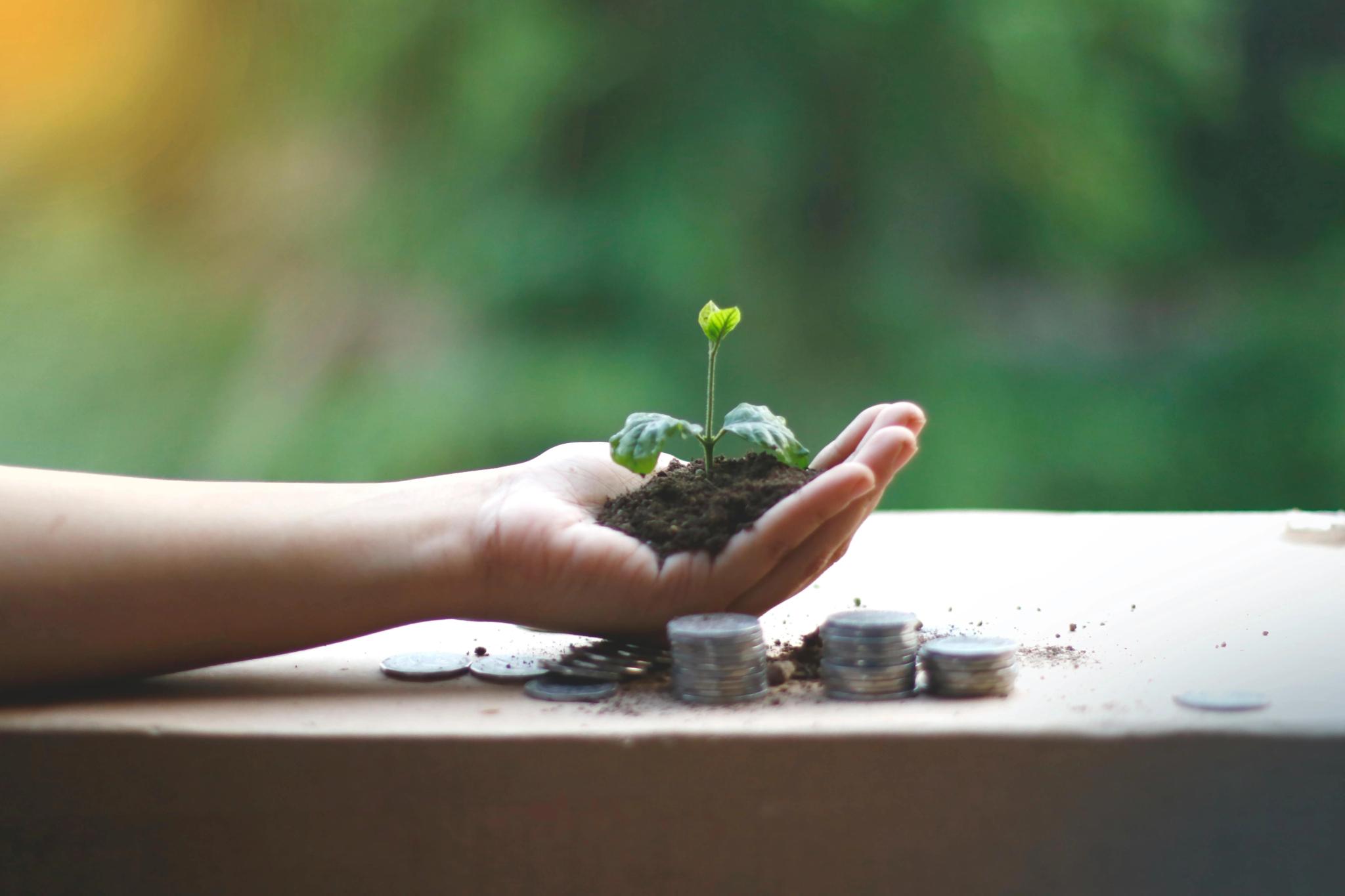 What Does Compounding Mean and How Can It Work to Your Advantage?