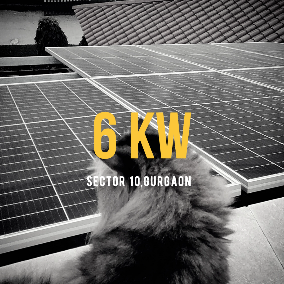 solar solutions | solar panels | solar installers near me | sunson energy