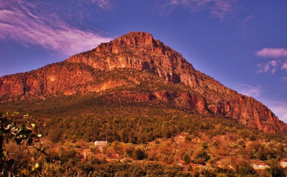 Early medicinal plant use discovered in Morocco | Hidden Valley Botanicals