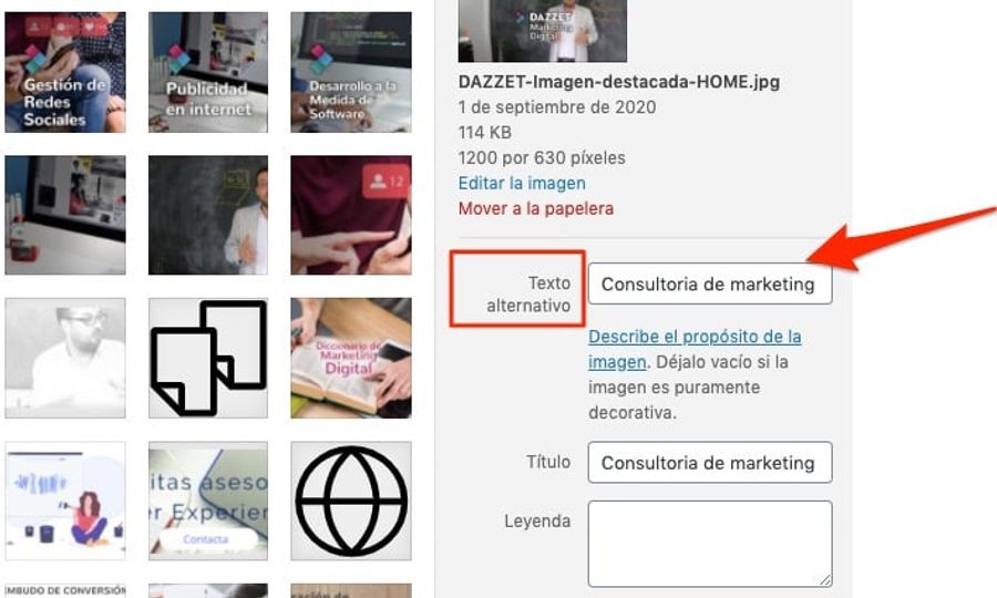 Qué es Alt text, su importancia y ejemplos - Dazzet