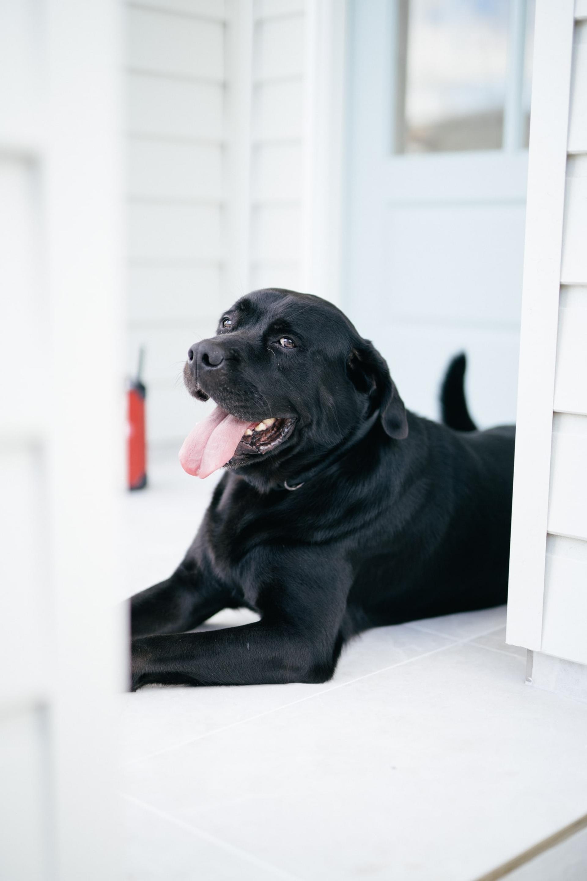 About | Pilgrim Homes