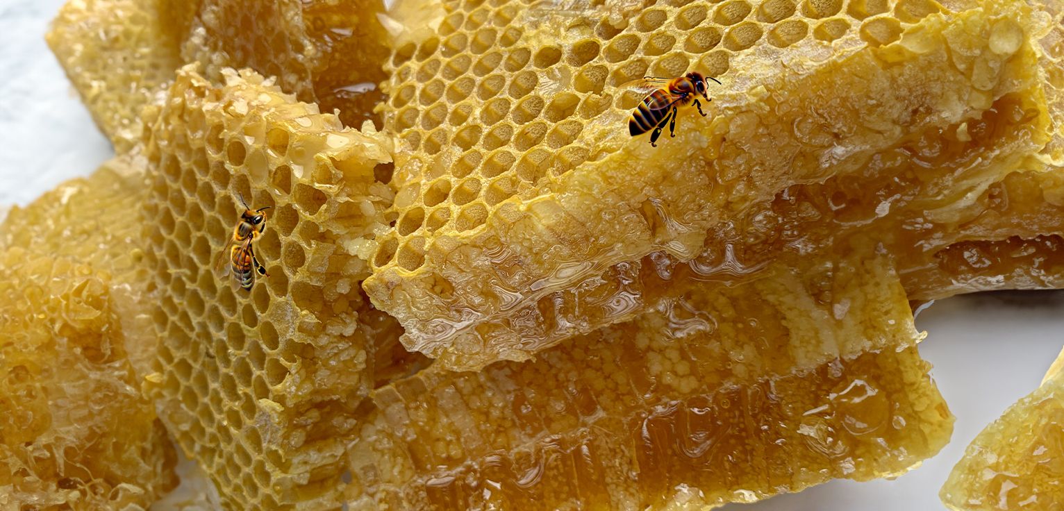 Algunos beneficios del Propóleo o Própolis