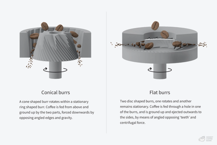 Conical burrs vs. flat burrs | Honest Coffee Guide