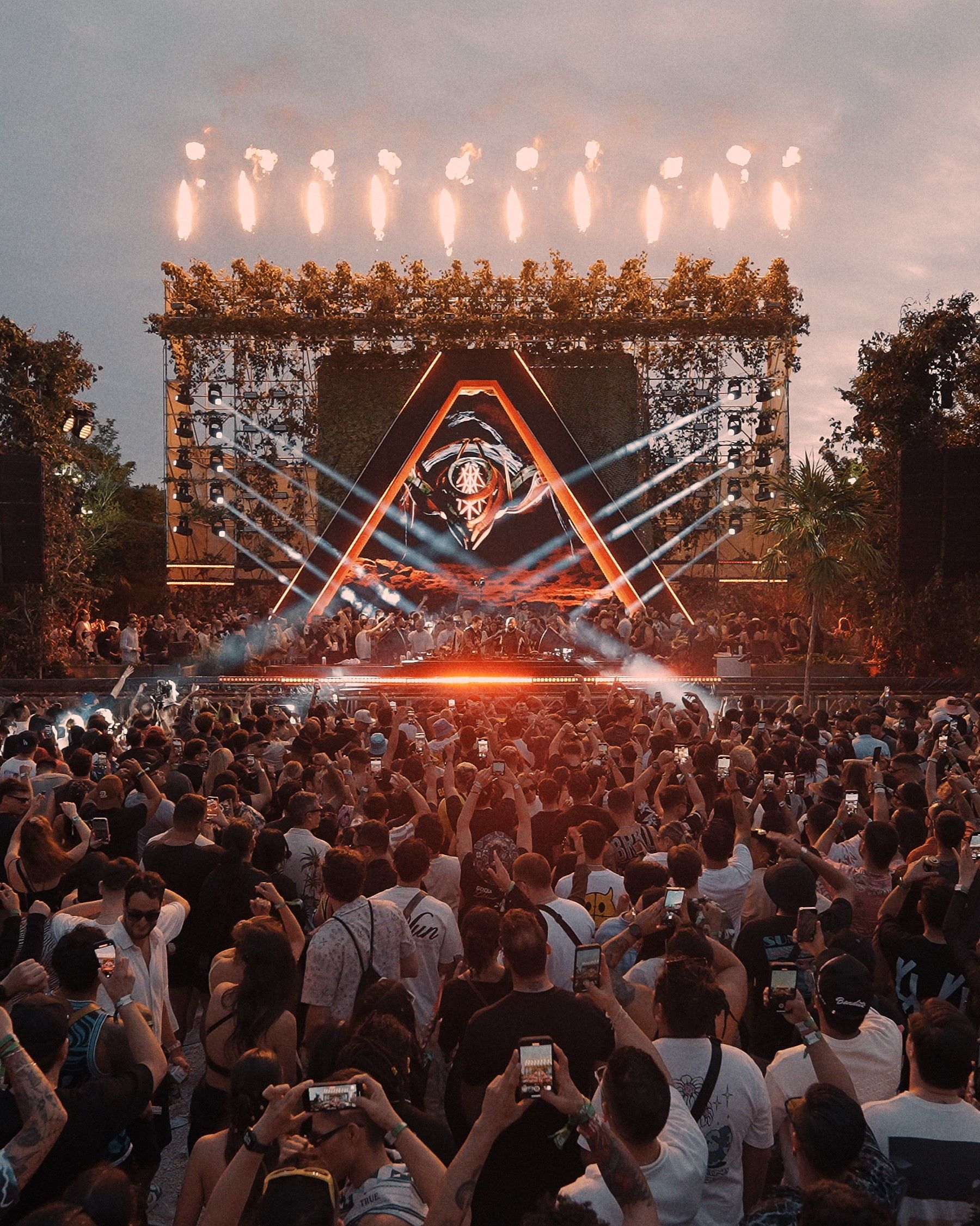 ANTS X Zamna Festival 2026 | ANTS